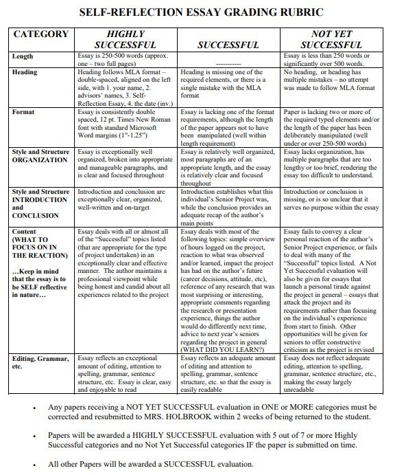Download Self Reflection Essay Examples and Templates (PDF) - Excel TMP